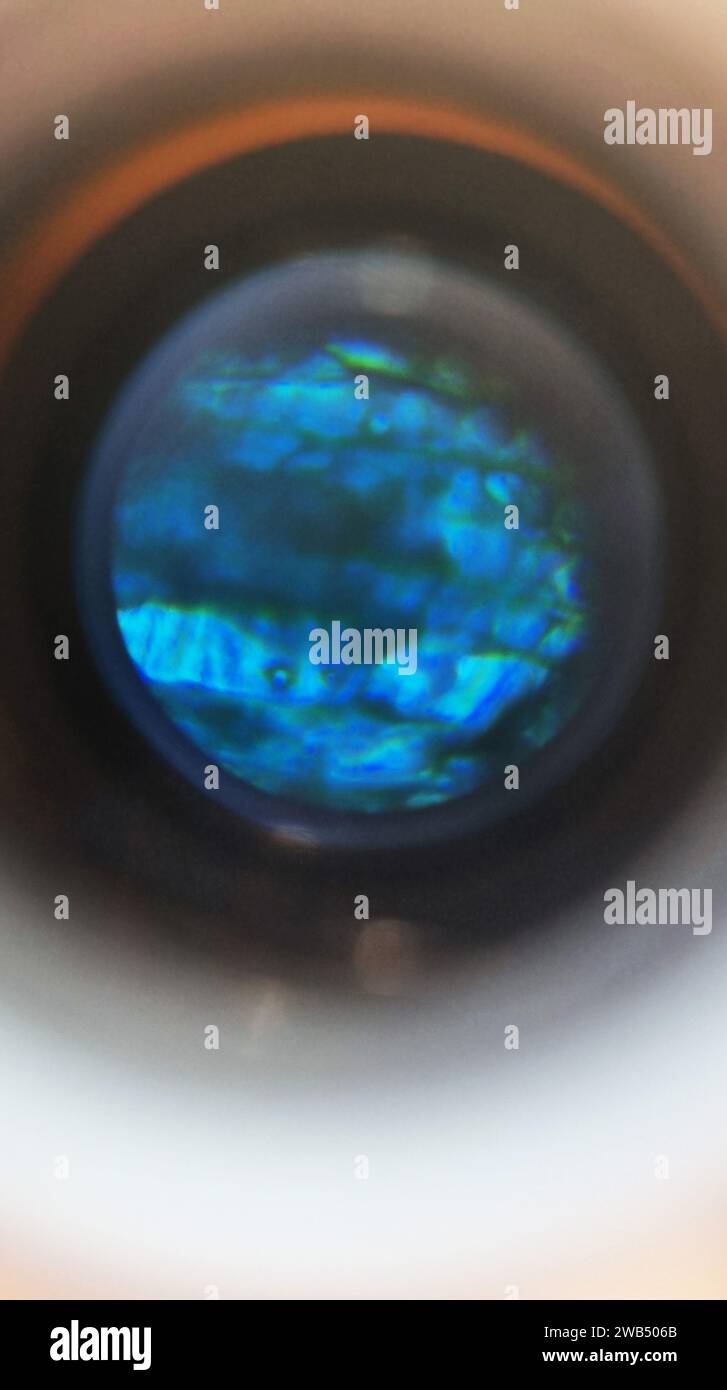 Close up shot of the cells under microscope Stock Photo - Alamy