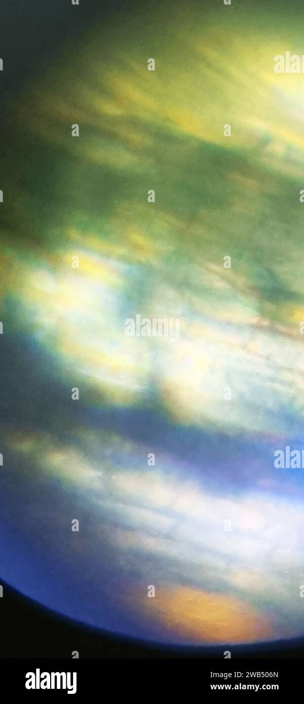Close up shot of the cells under microscope Stock Photo - Alamy