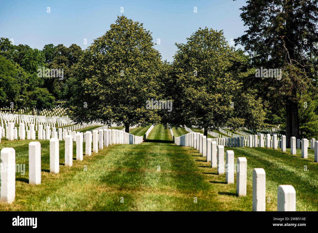 Panoramic view of Arlington National Cemetery, the most famous cemetery ...