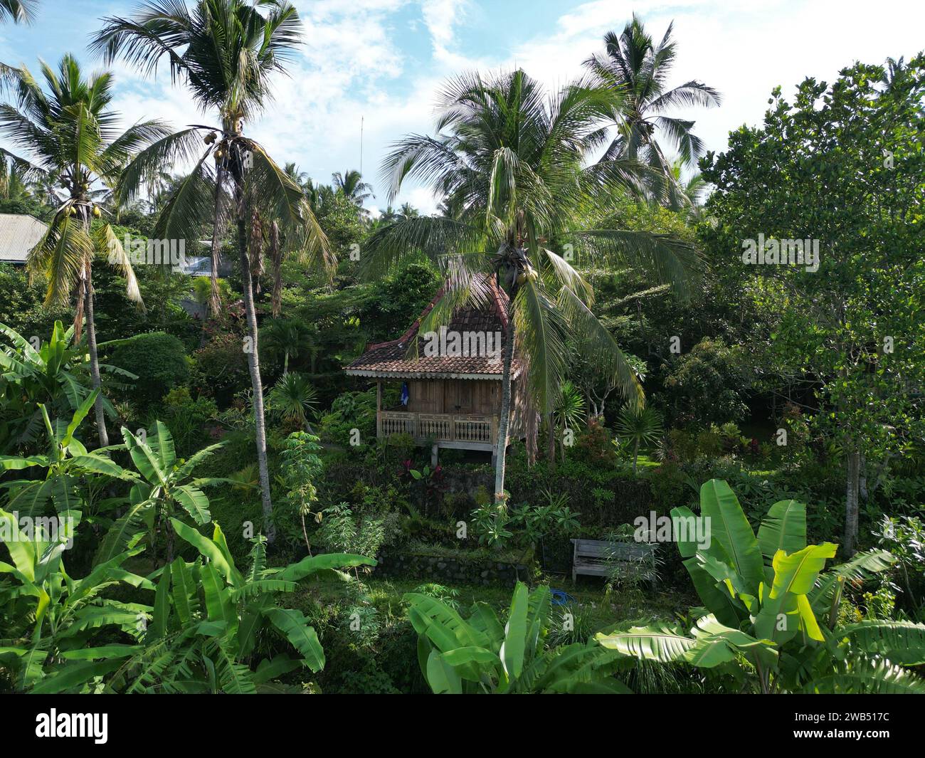 An aerial view of a treehouse nestled among the lush foliage of a ...