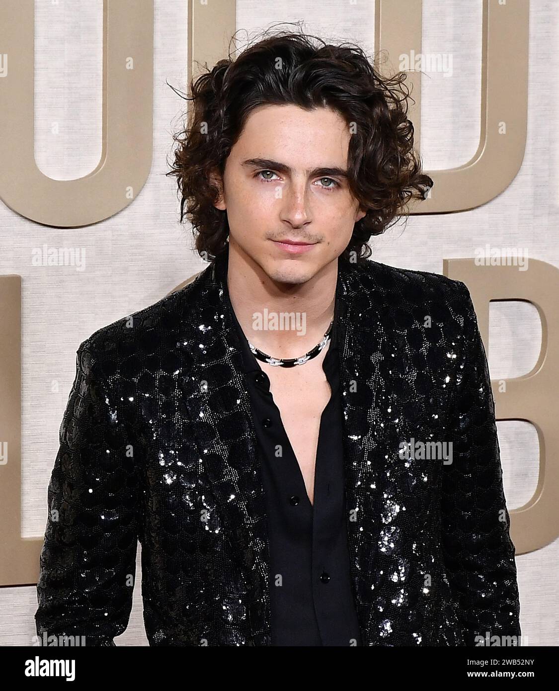 Beverly Hills, USA. 08th Jan, 2024. Timothee Chalamet attends the 81st Annual Golden Globe ...