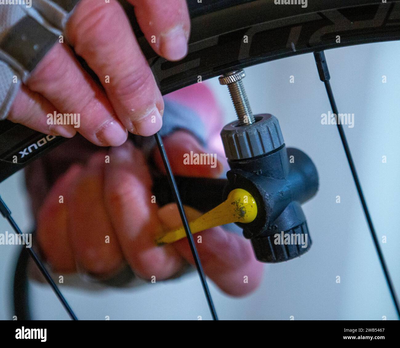 Woman pumping up a tire on her road bike Stock Photo - Alamy