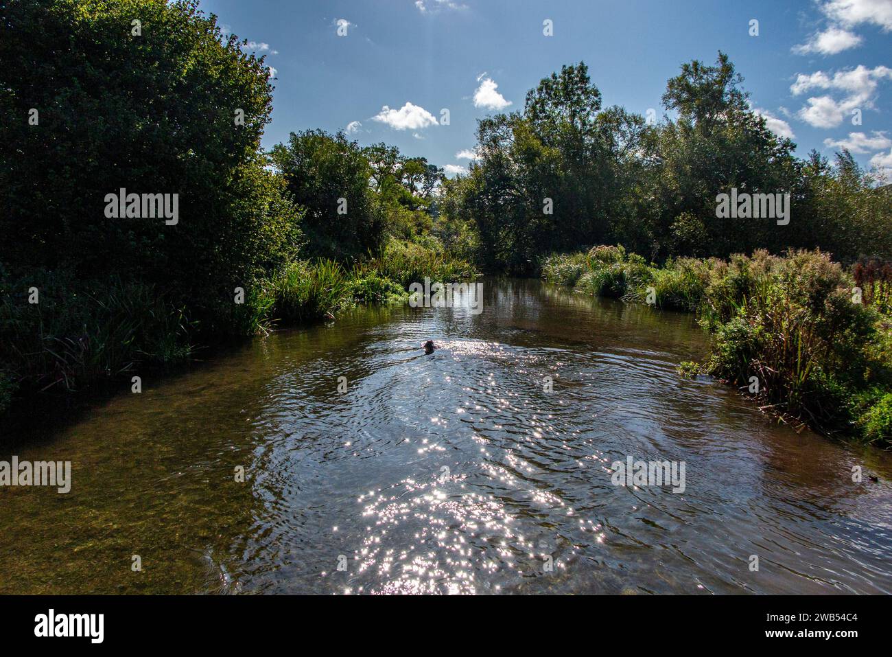 Rivers in buckinghamshire uk hi-res stock photography and images - Alamy
