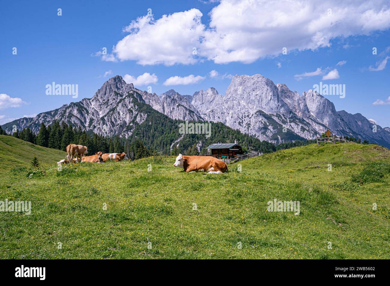 Almgastronomie hi-res stock photography and images - Alamy