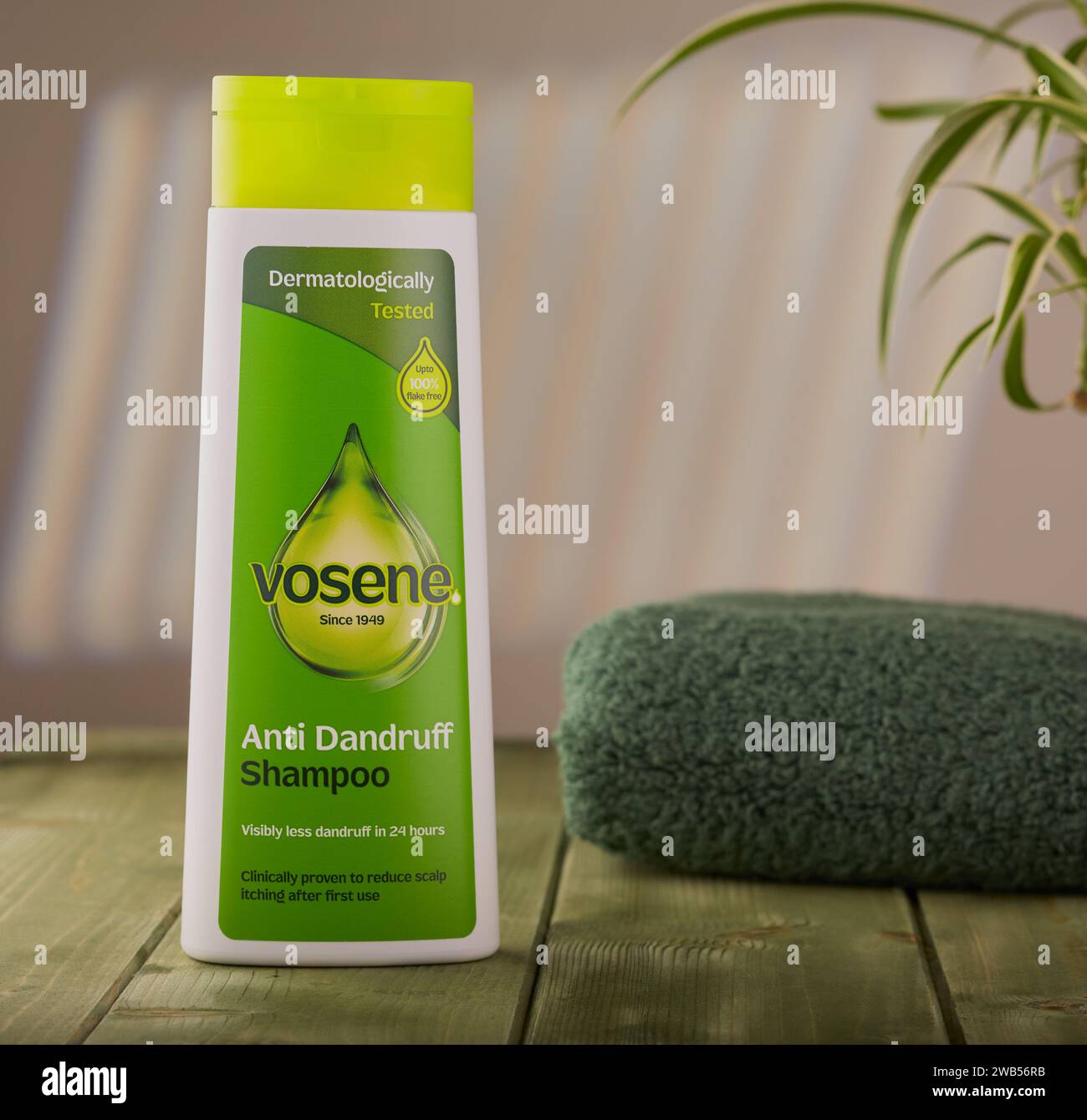 Mansfield,Nottingham,United Kingdom,6th January 2024:Studio product ...