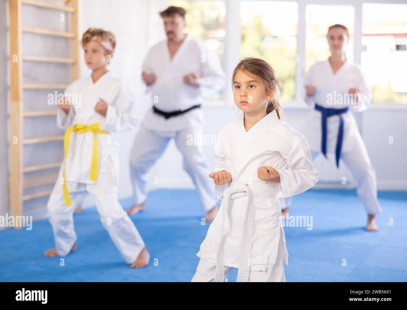 Family with children training karate techniques Stock Photo - Alamy