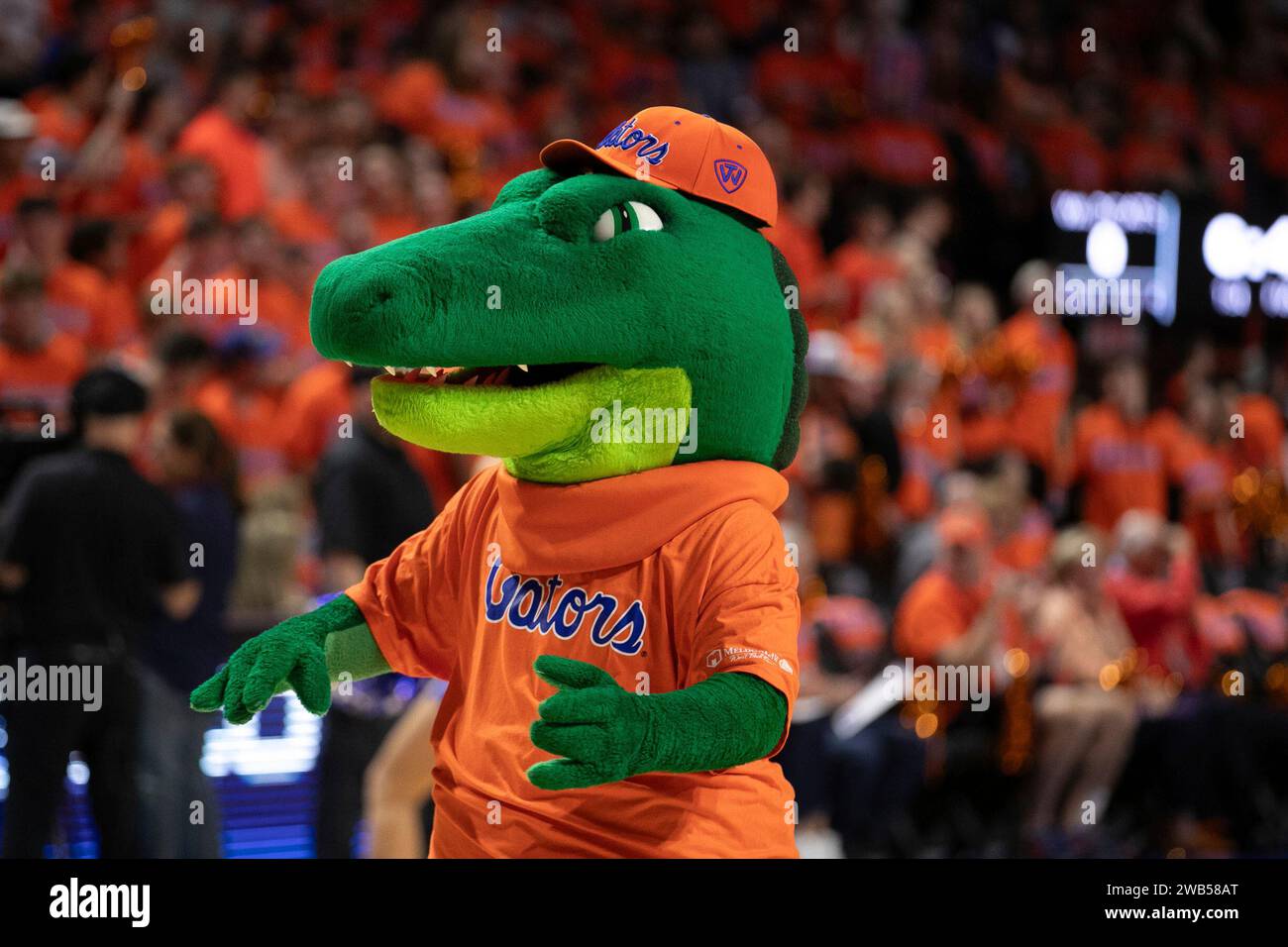 Florida mascot Albert fires up the crowd before the first half of an ...