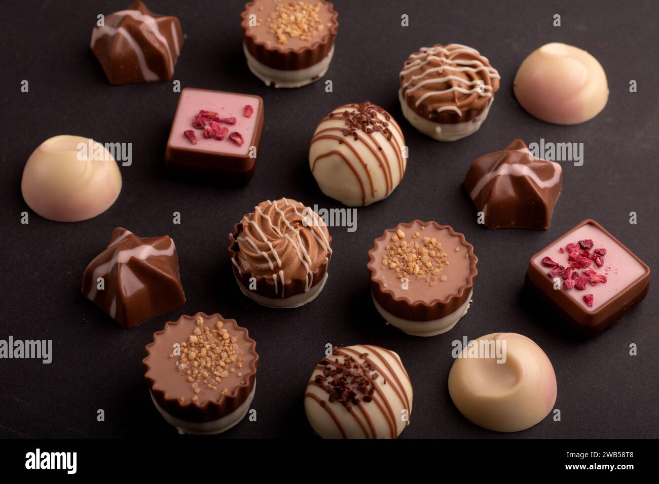 This closeup photo captures the irresistible allure of a diverse ...