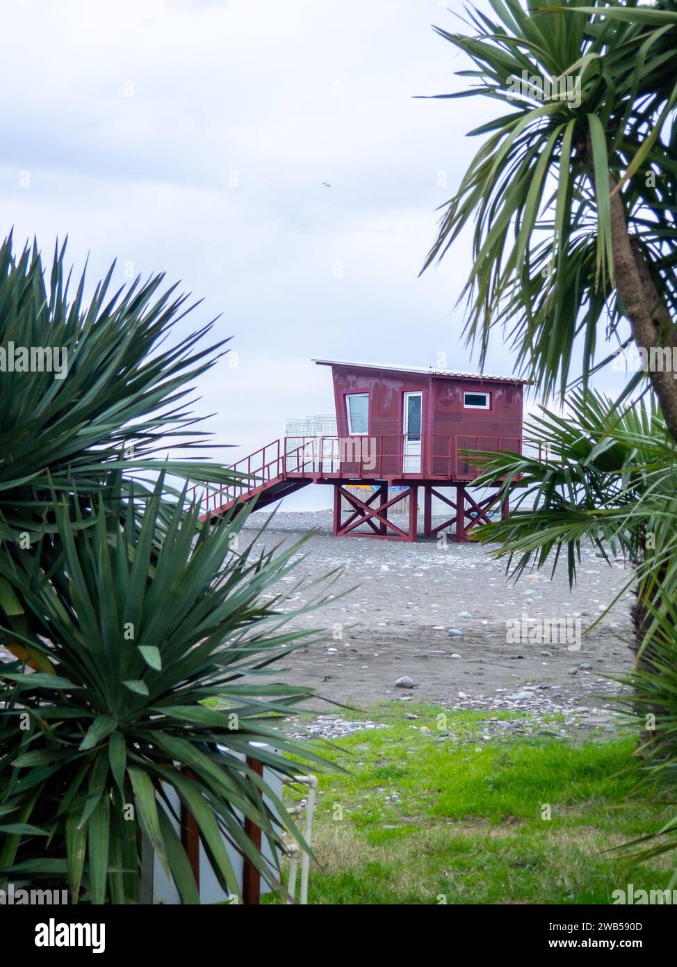 Palm trees against the backdrop of a cloudy gray sky. Rescue booth at ...