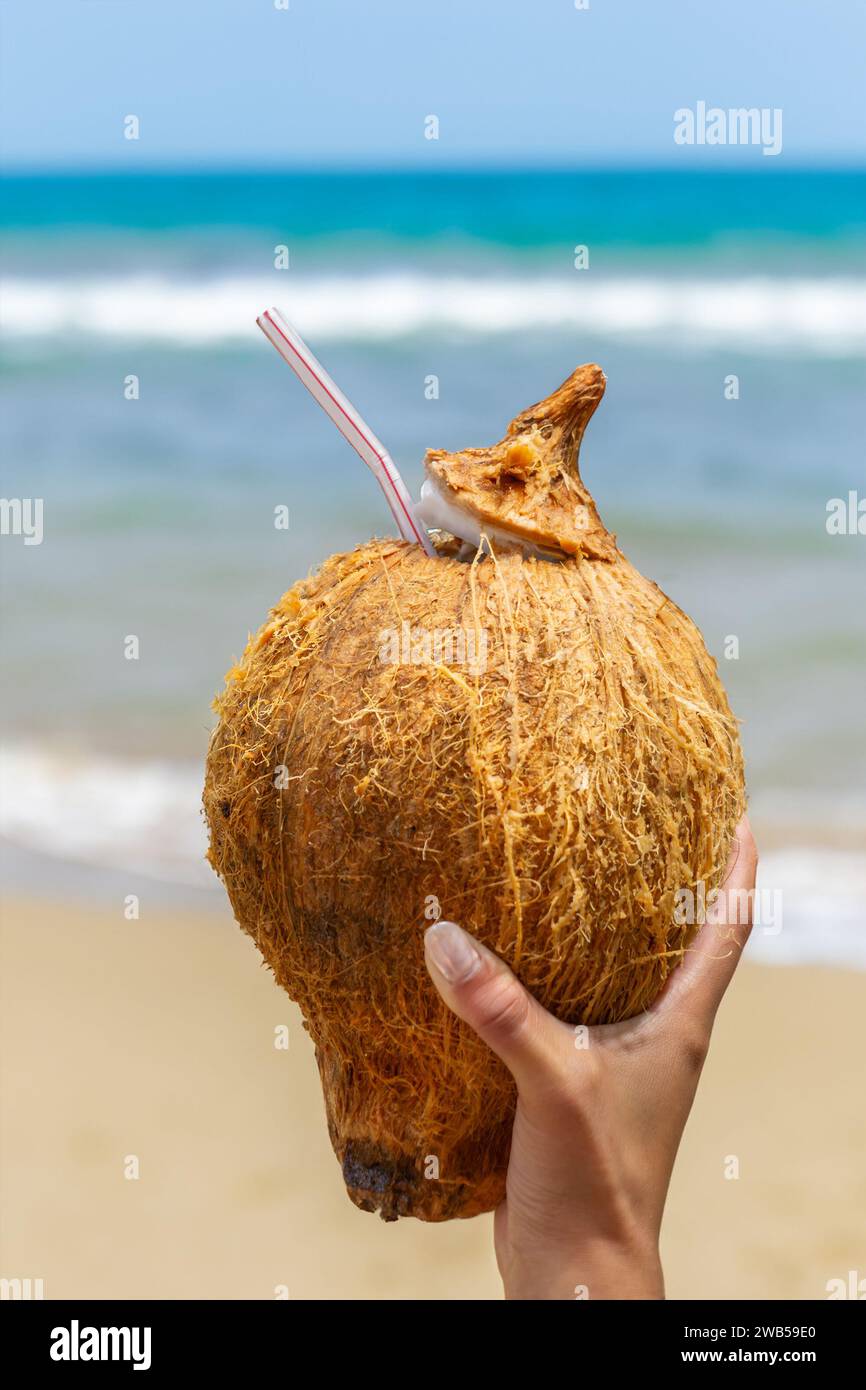 Hand holding coconut cut opened at the top with straw on a hot day at ...