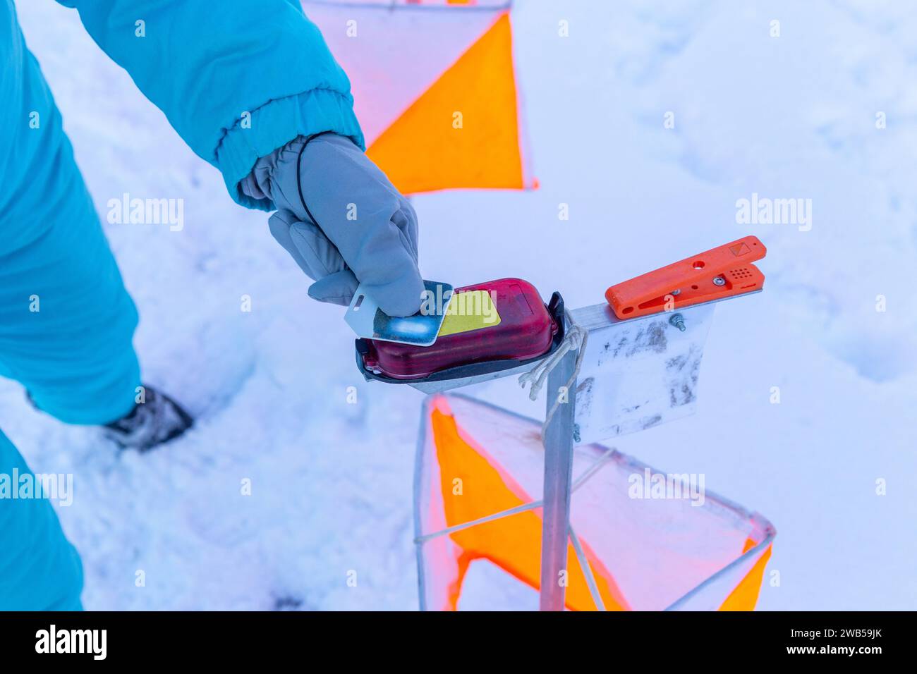 A competitor in an orienteering competition applies a wireless chip to ...