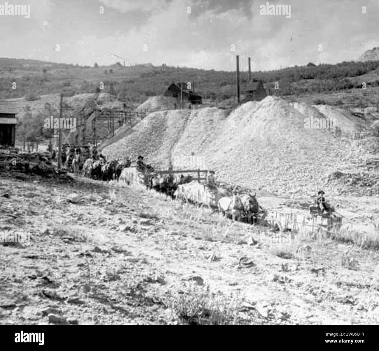 Mine horses Black and White Stock Photos & Images - Alamy