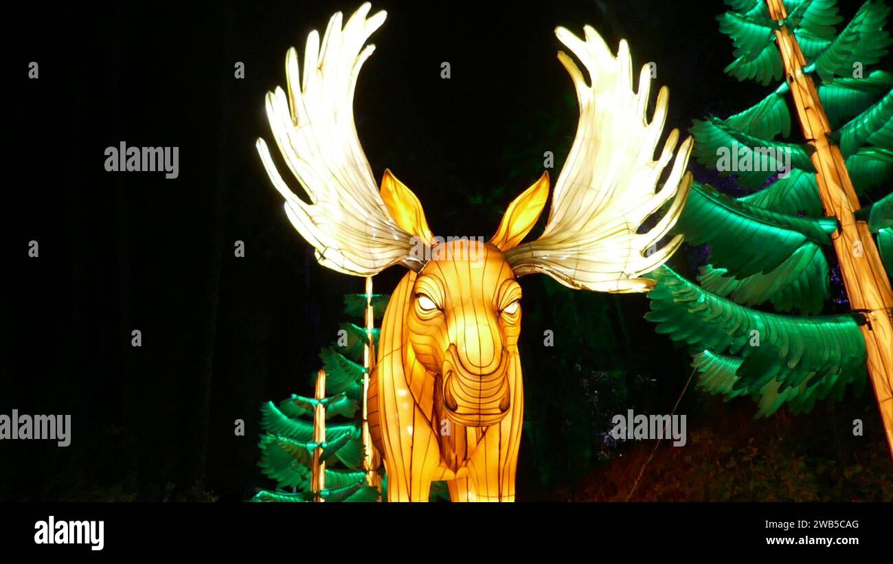 Los Angeles, California, USA 2nd January 2024 Moose at Zoo Lights Aglow ...