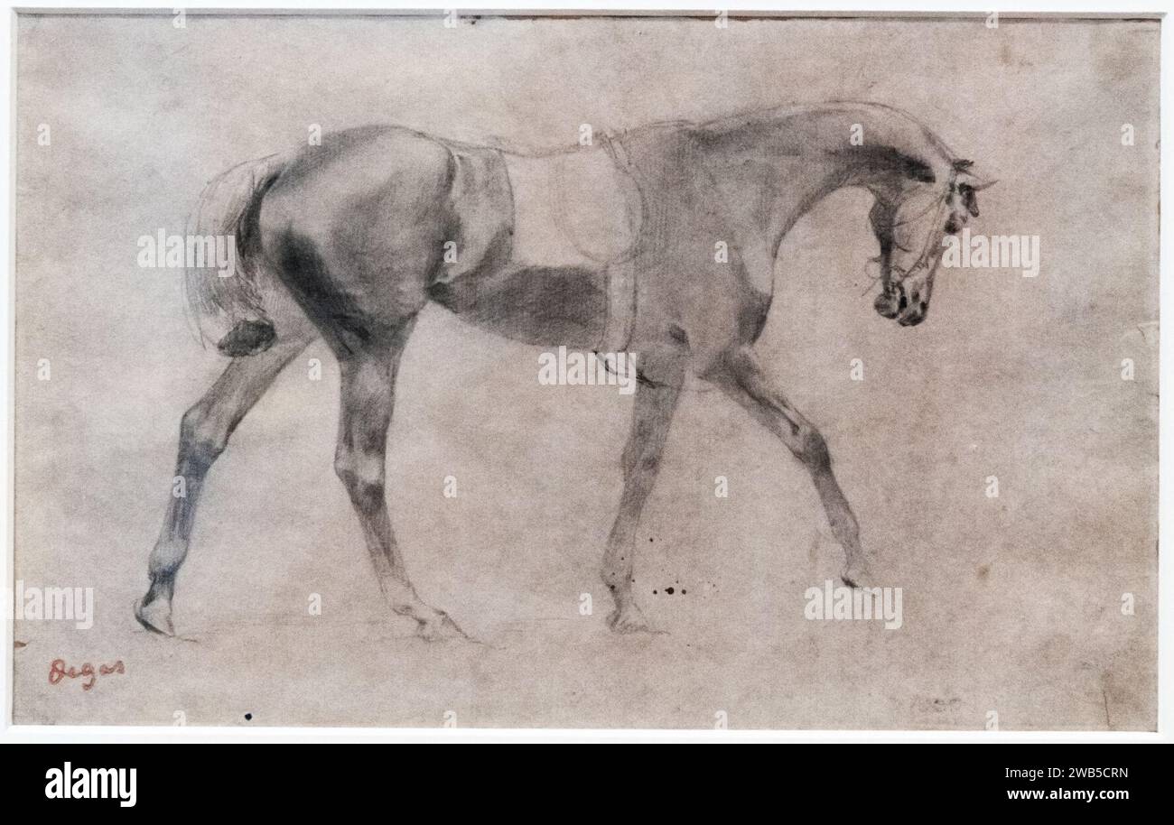 Musee dart modrene andre malraux hi-res stock photography and images ...