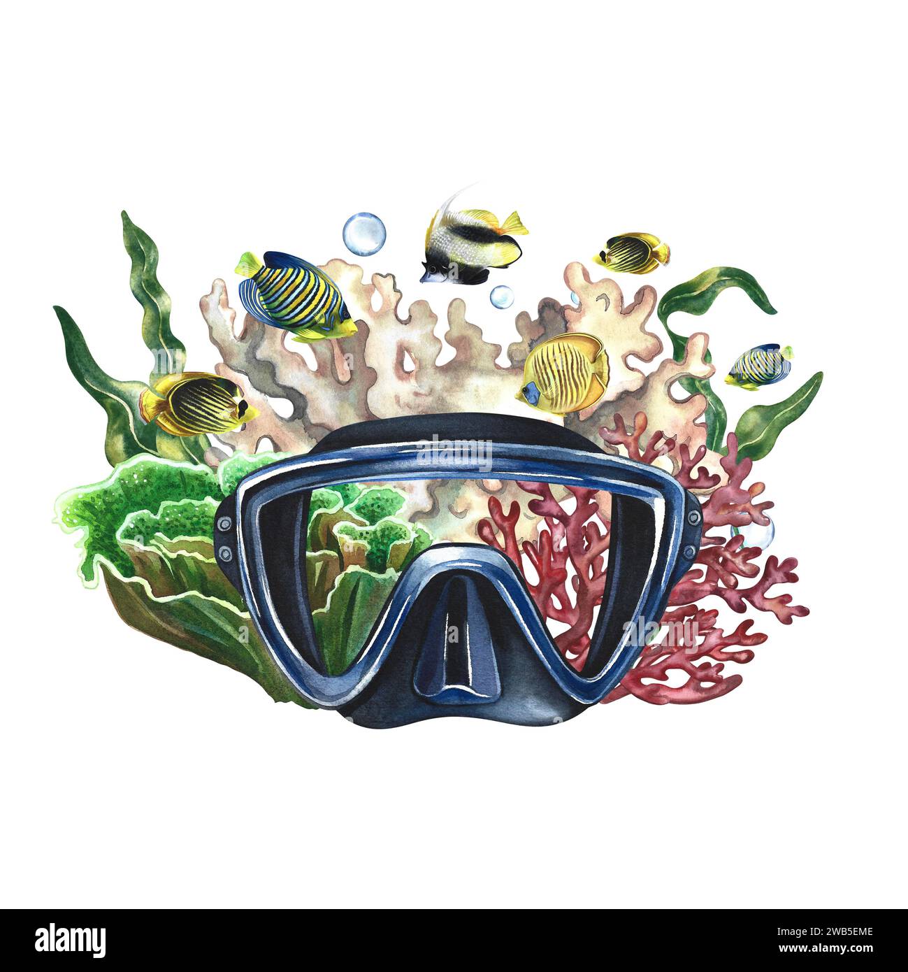 Scuba diver clipart hi-res stock photography and images - Alamy