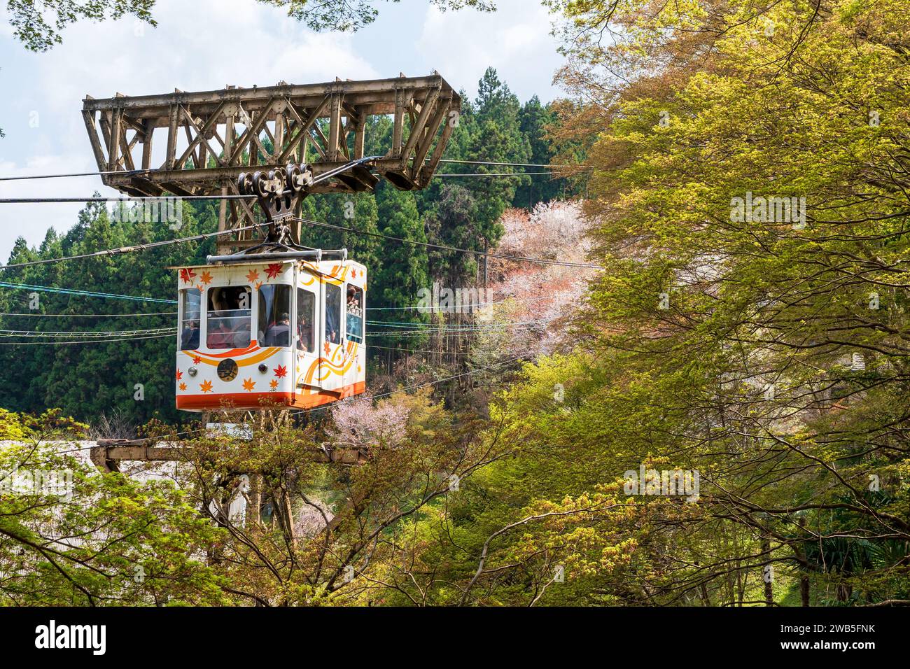 Nara, Japan - April 3, 2023 : Yoshino Ropeway. Cherry blossoms in full ...