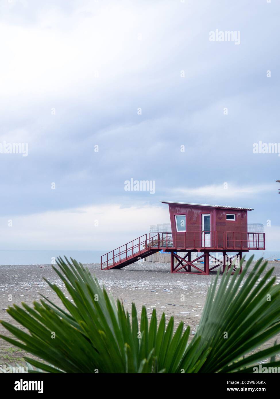 Palm trees against the backdrop of a cloudy gray sky. Rescue booth at ...