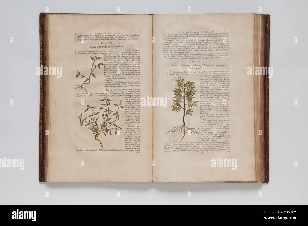 Ilustracoes hi-res stock photography and images - Alamy