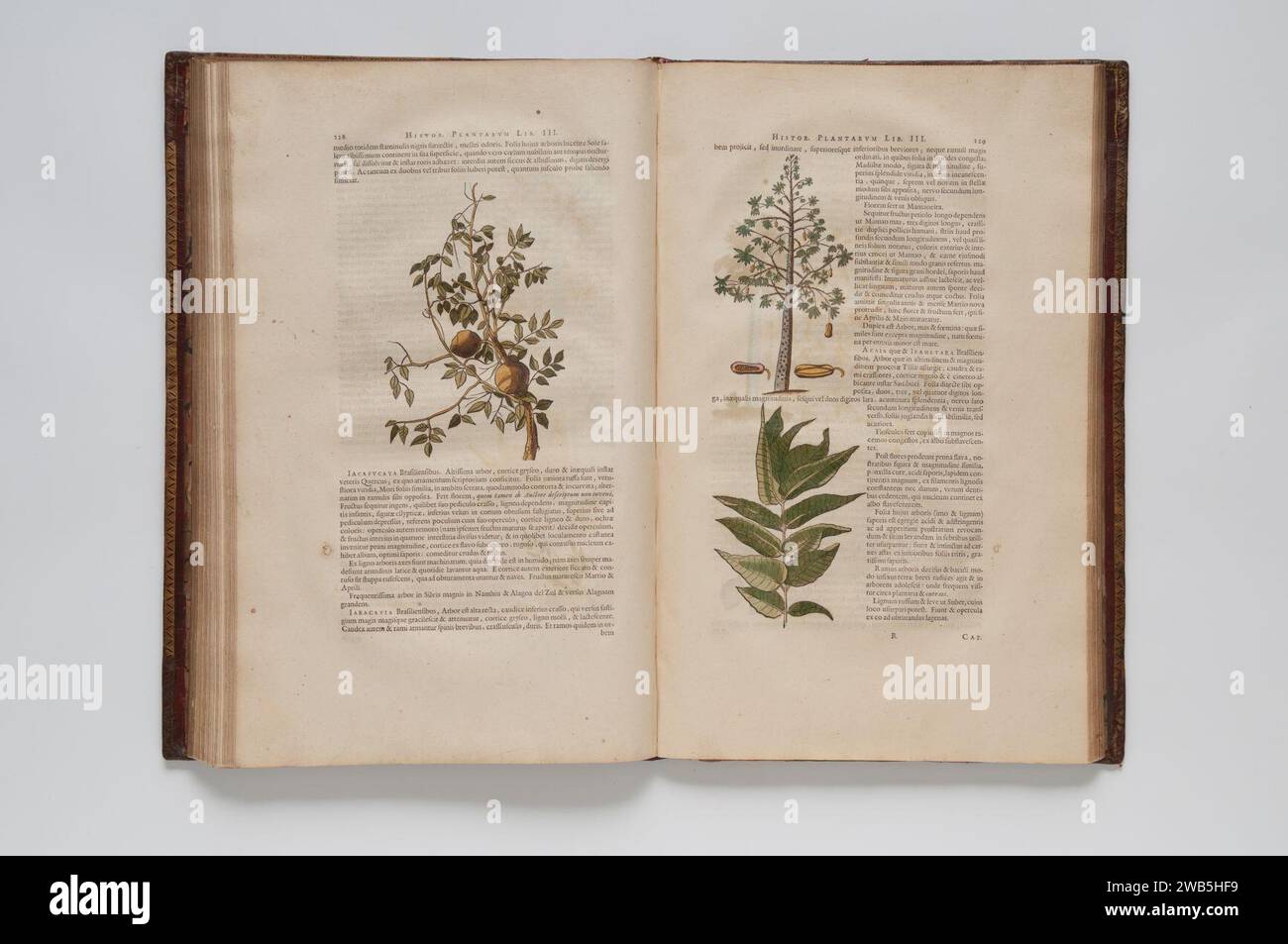 Ilustracoes hi-res stock photography and images - Alamy