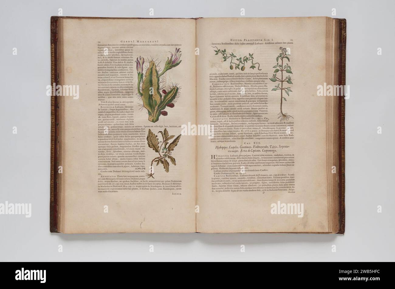 Ilustracoes hi-res stock photography and images - Alamy