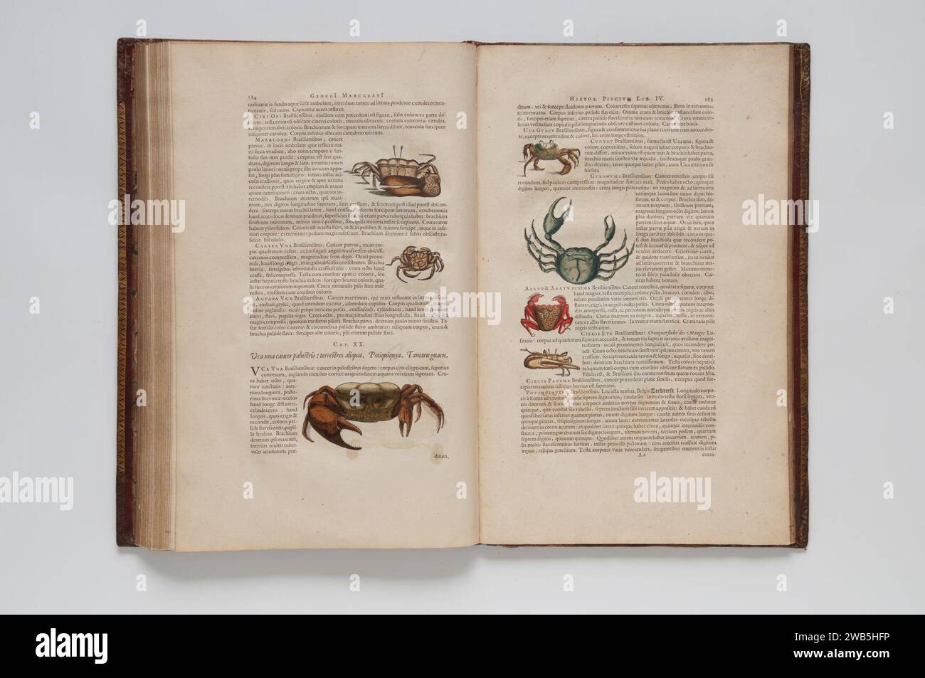 Ilustracoes hi-res stock photography and images - Alamy