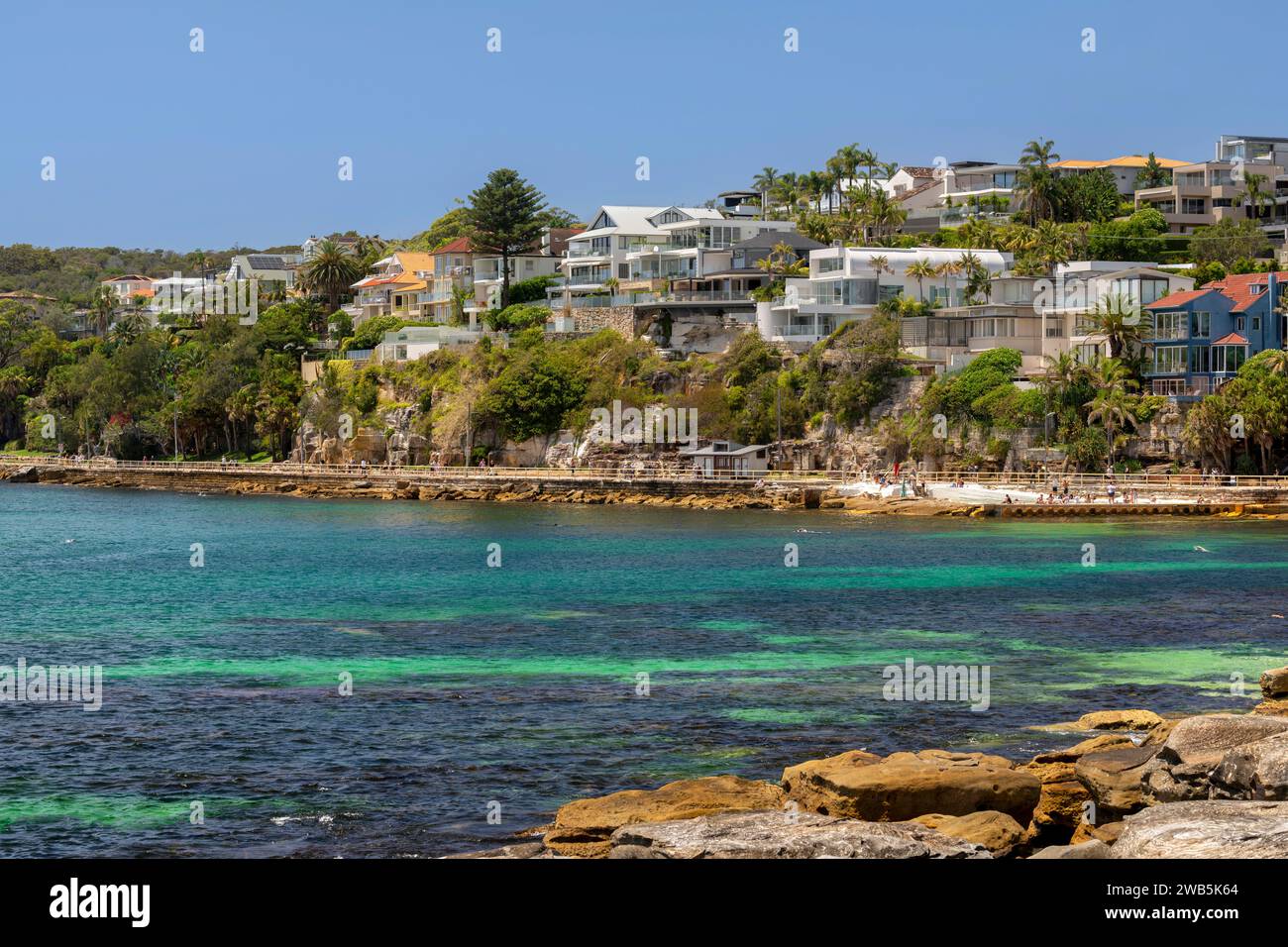 Cabbage tree bay hi-res stock photography and images - Alamy