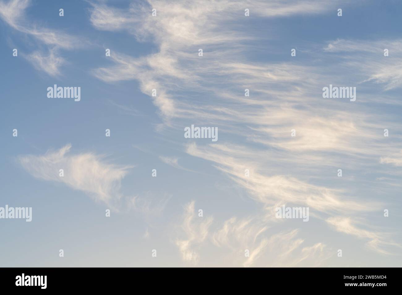 Editorial images hi-res stock photography and images - Alamy