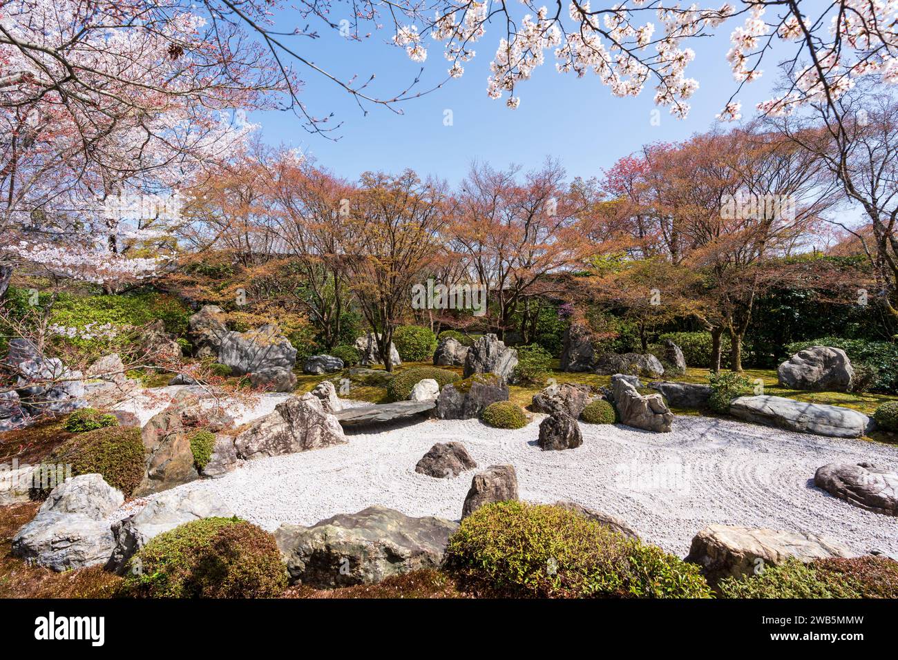Cherry blossoms in Japanese Zen garden. Shogunzuka Mound and Seiryuden Shorenin Temple. Kyoto ...