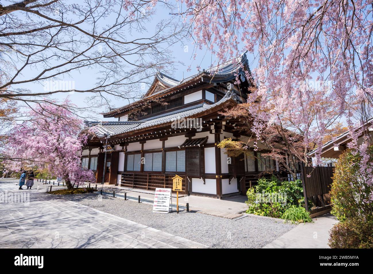 Cherry blossoms in Japanese Zen garden. Shogunzuka Mound and Seiryuden Shorenin Temple. Kyoto ...