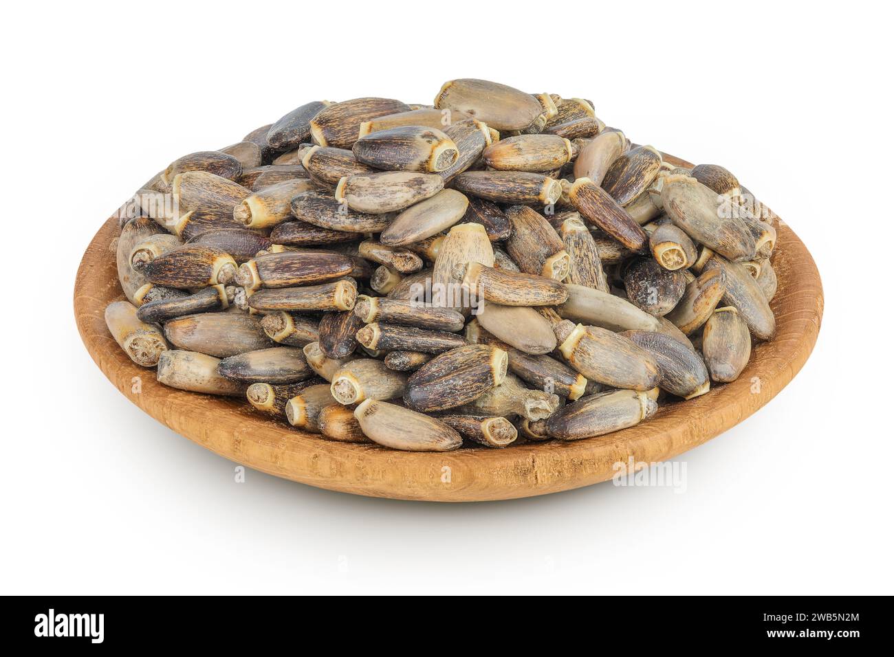 Seeds of a milk thistle or Silybum marianum, Scotch Thistle, Marian ...