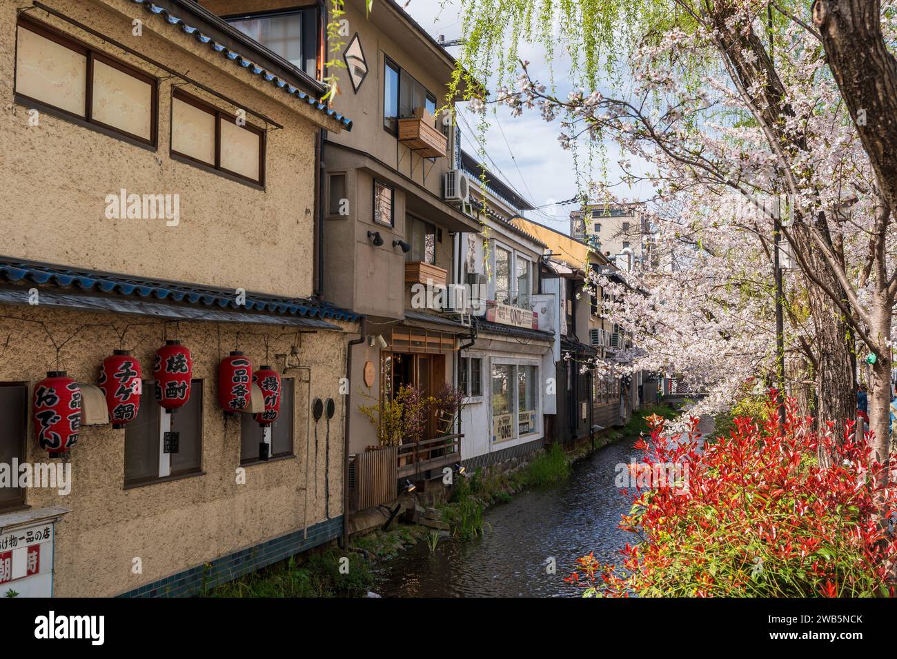 Cherry blossoms along the Takase River (Takase-gawa canal) and ...