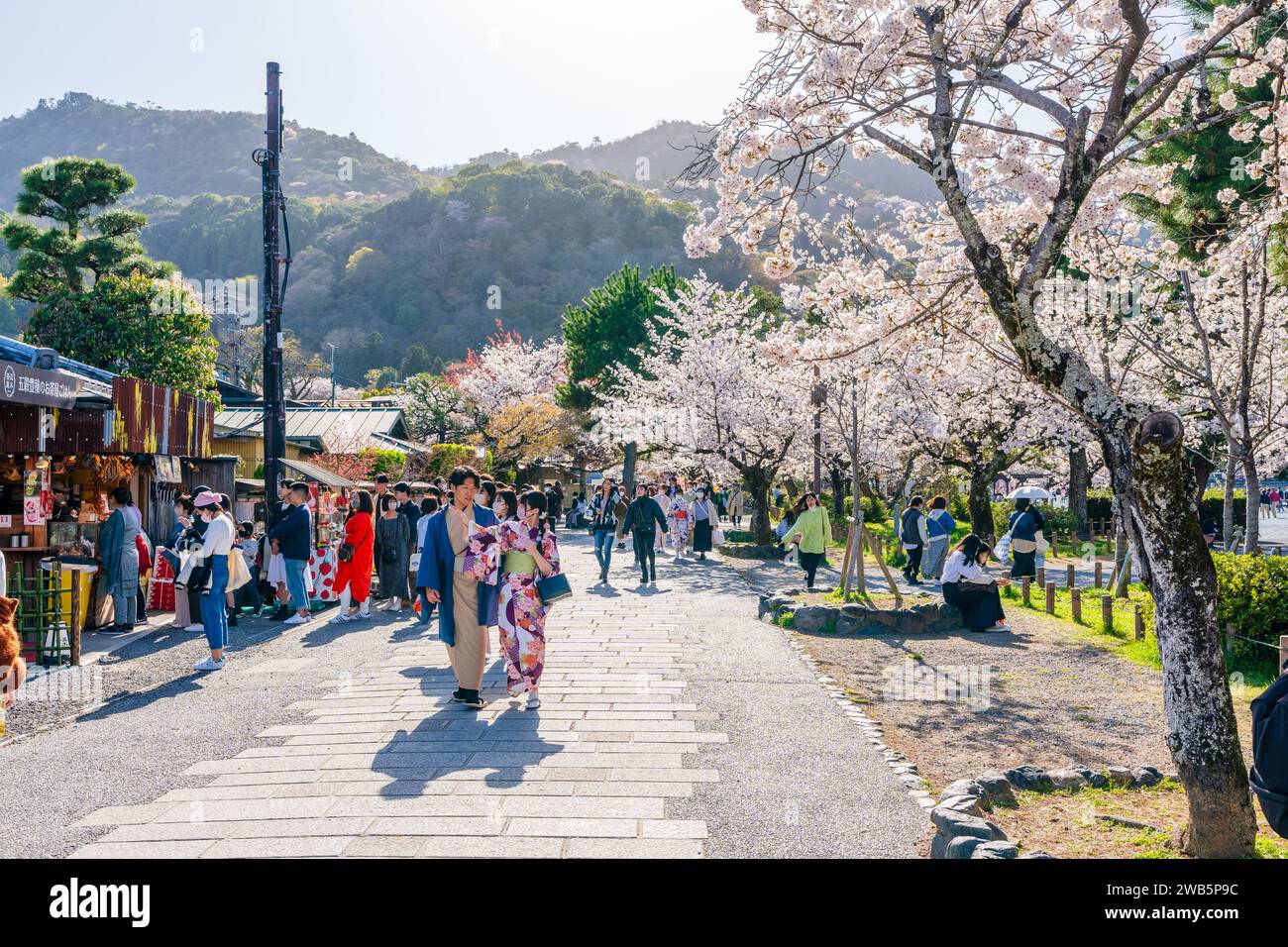 People enjoying cherry blossoms in Arashiyama district. Kyoto, Japan ...