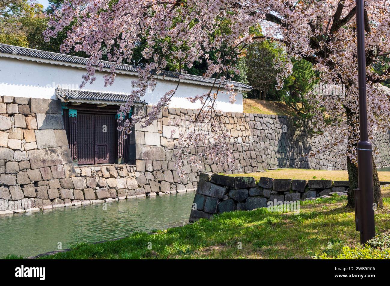 Cherry blossom along the moat of the Nijo Castle, Kyoto, Japan Stock ...