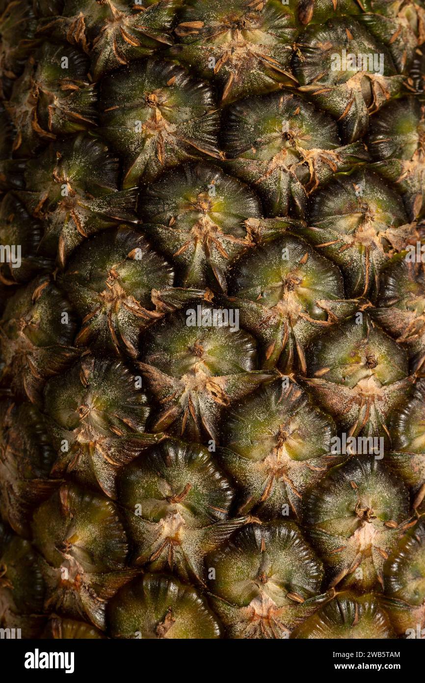 Backgroundc hi-res stock photography and images - Alamy