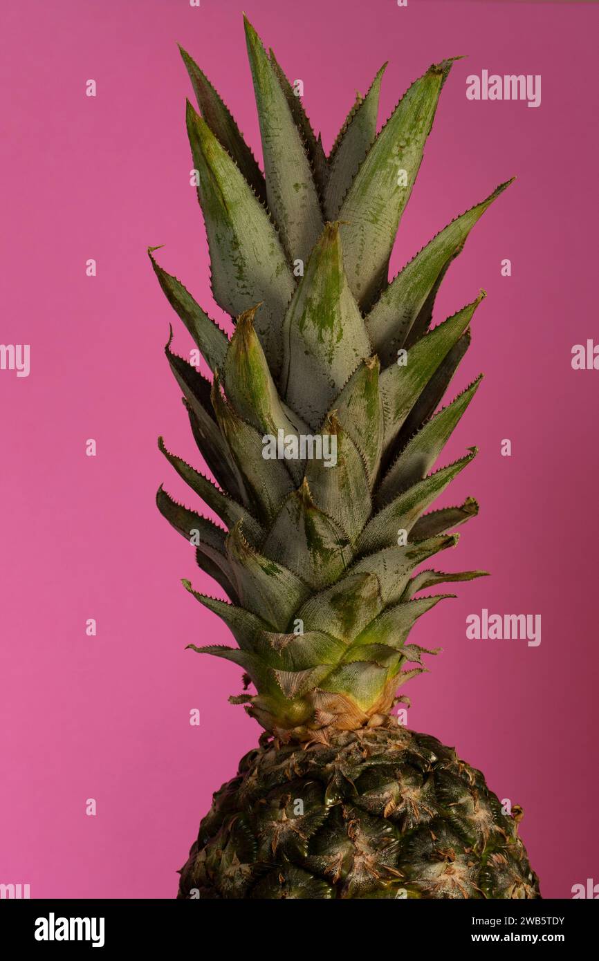 Pineapple crown hi-res stock photography and images - Alamy