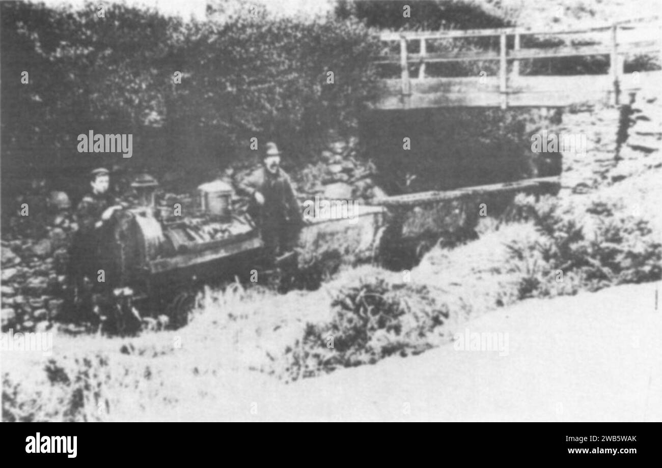 1 ft 7 in gauge 0-4-0 front tank steam locomotive 'Ant' of Great Laxey ...
