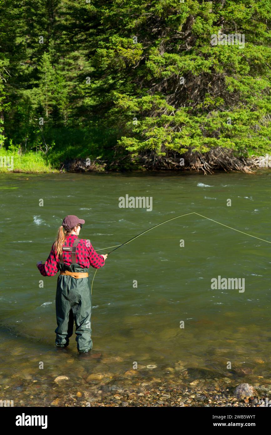 Flyfishing the Gallatin River, Gallatin National Forest, Montana Stock ...
