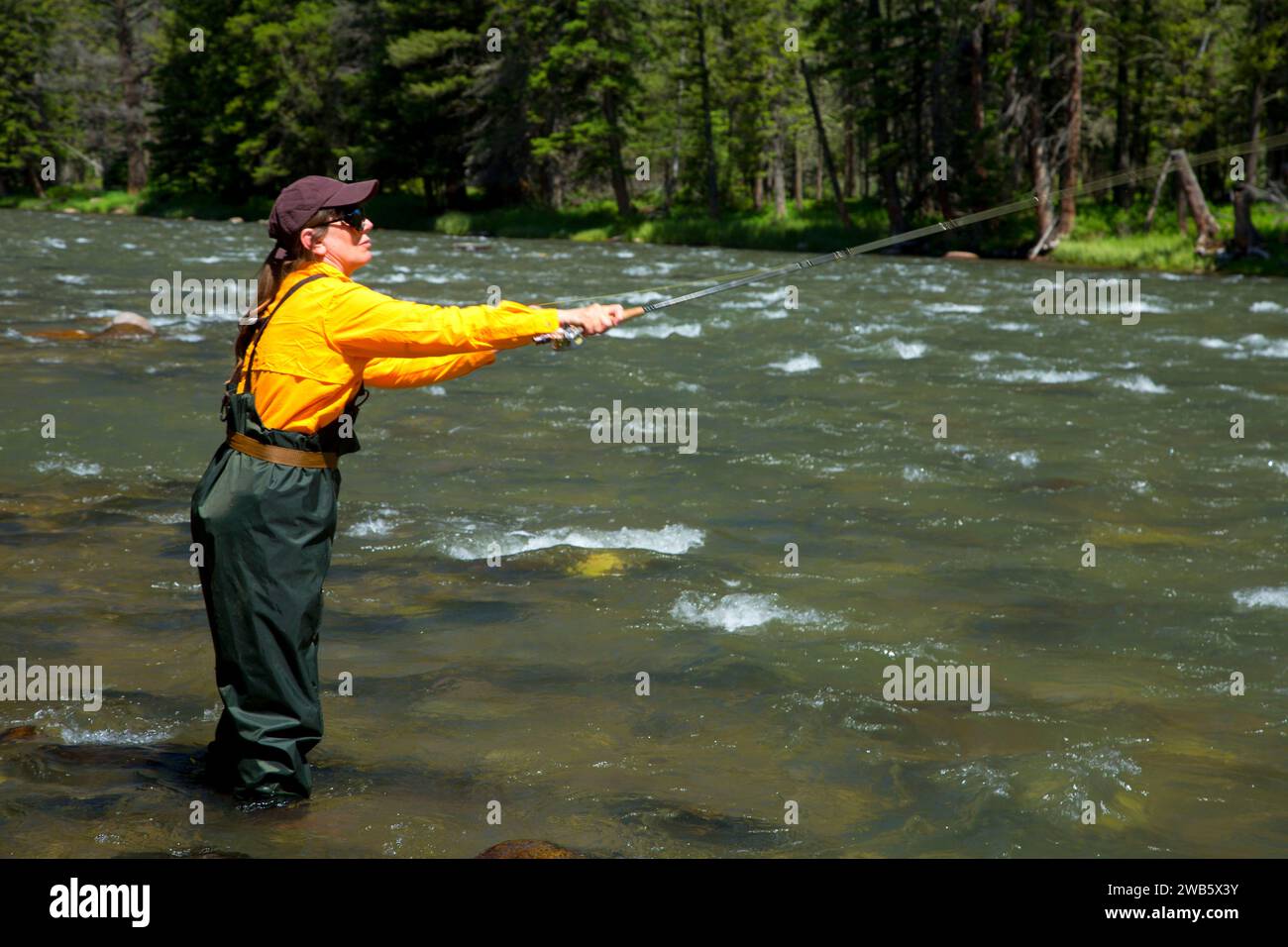 Flyfishing the Gallatin River, Gallatin National Forest, Montana Stock ...
