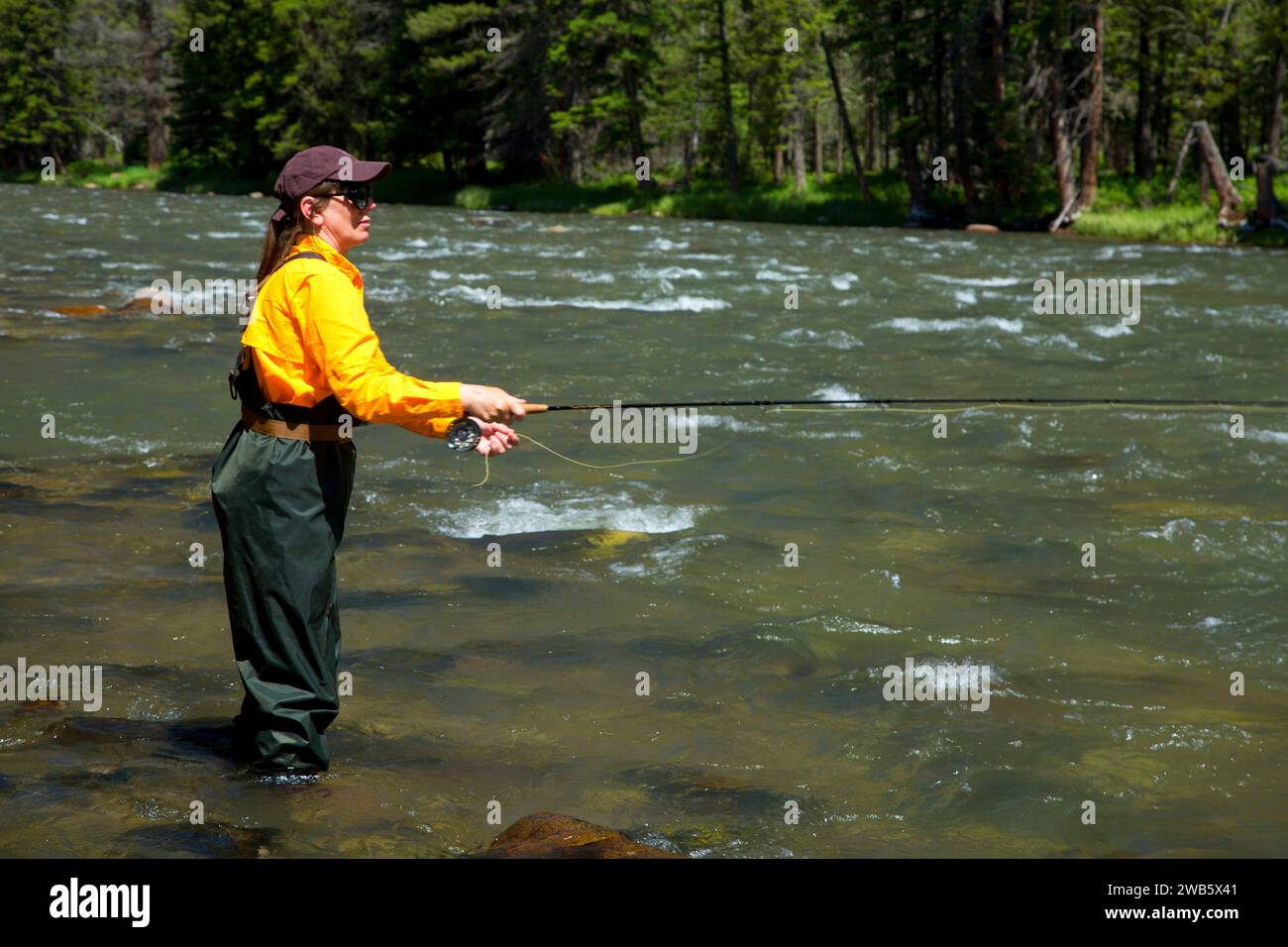 Flyfishing the Gallatin River, Gallatin National Forest, Montana Stock ...