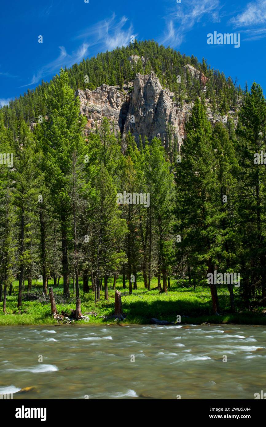 Canyon slope above Gallatin River, Gallatin National Forest, Montana ...