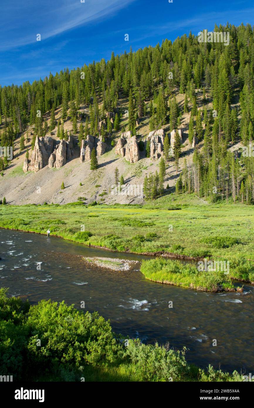 Gallatin River, Gallatin National Forest, Montana Stock Photo - Alamy