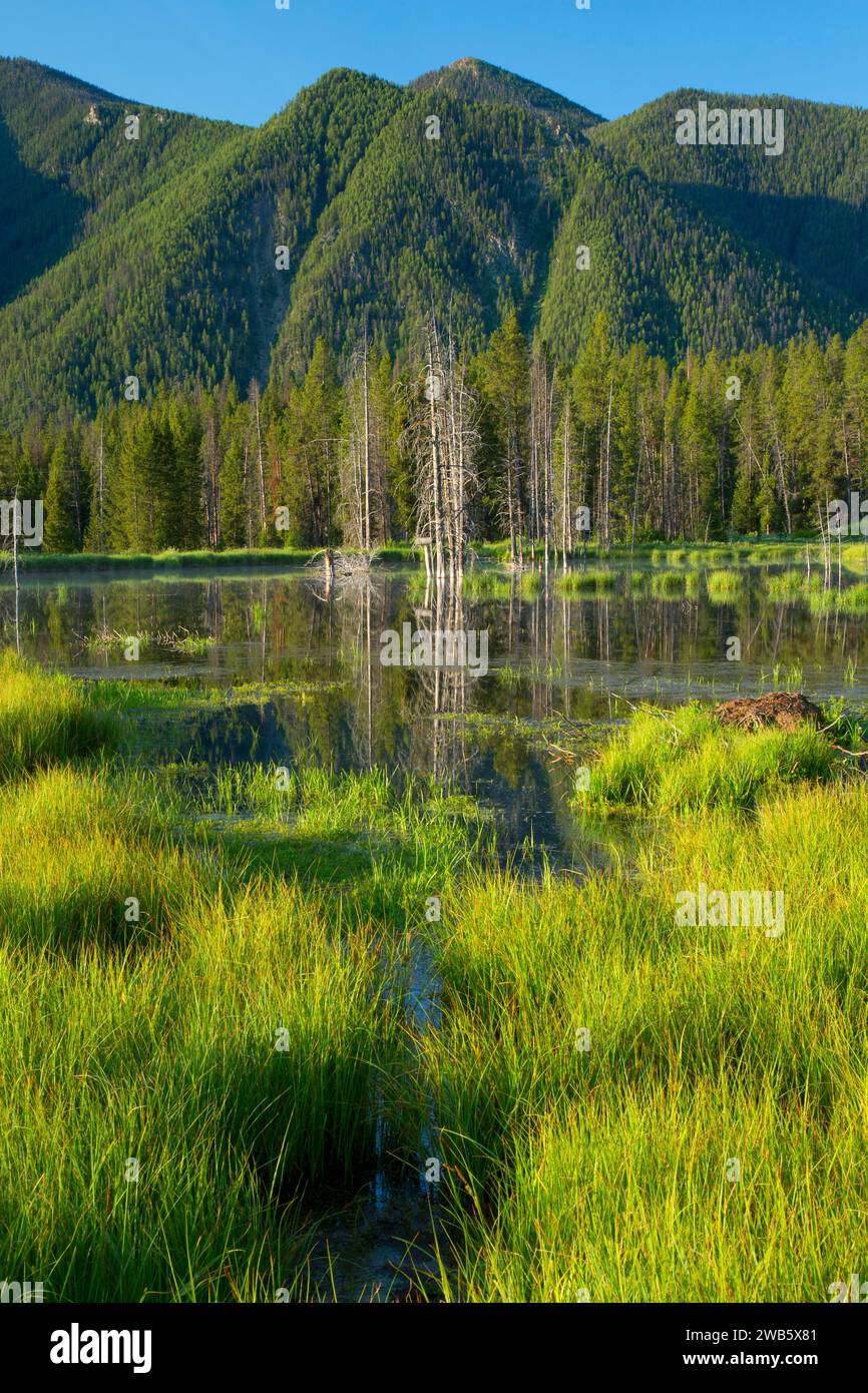 Beaver Creek pond, Madison River Canyon Earthquake Area, Gallatin ...