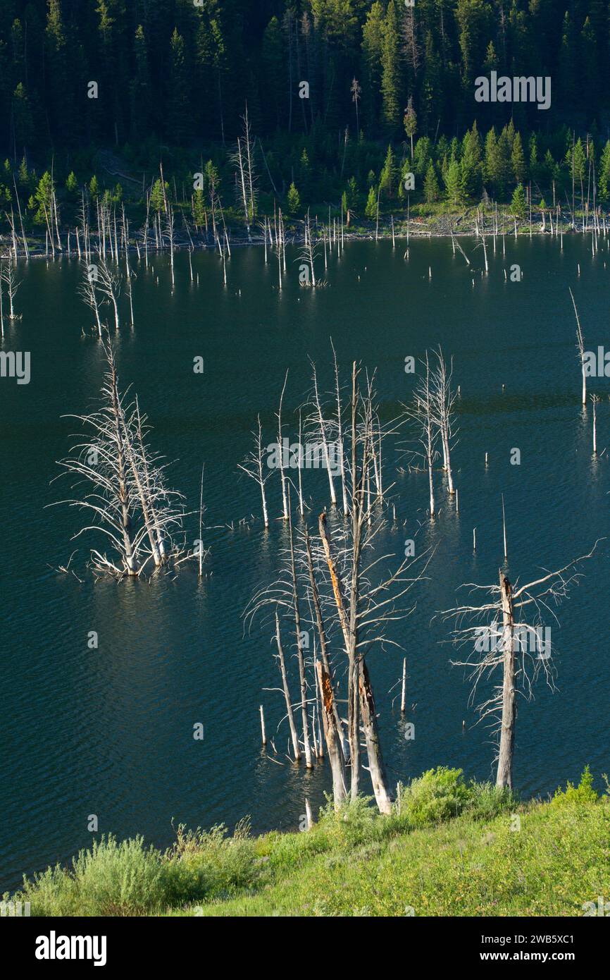 Earthquake Lake, Madison River Canyon Earthquake Area, Gallatin National Forest, Montana Stock ...