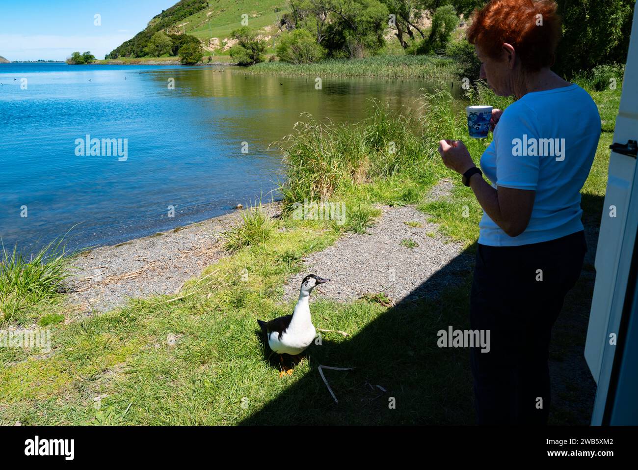 Road trip around the South Island of New Zealand. Lake Forsyth is a ...