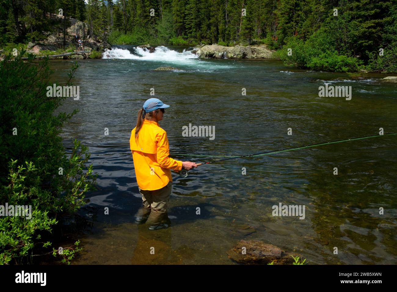 Flyfishing on Clarks Fork of the Yellowstone at Clarks Fork Picnic Area ...