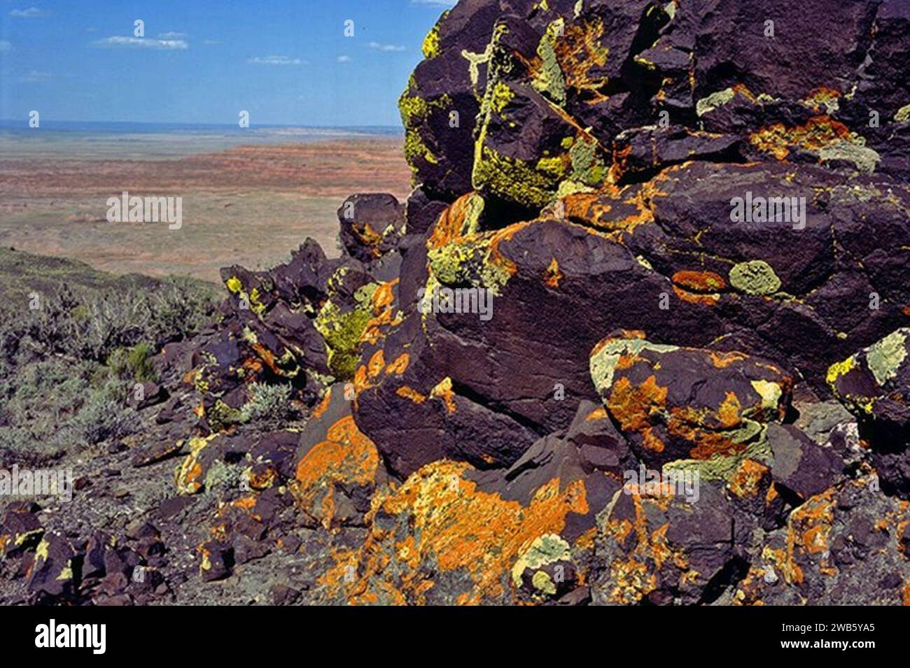 Bidahochi hi-res stock photography and images - Alamy