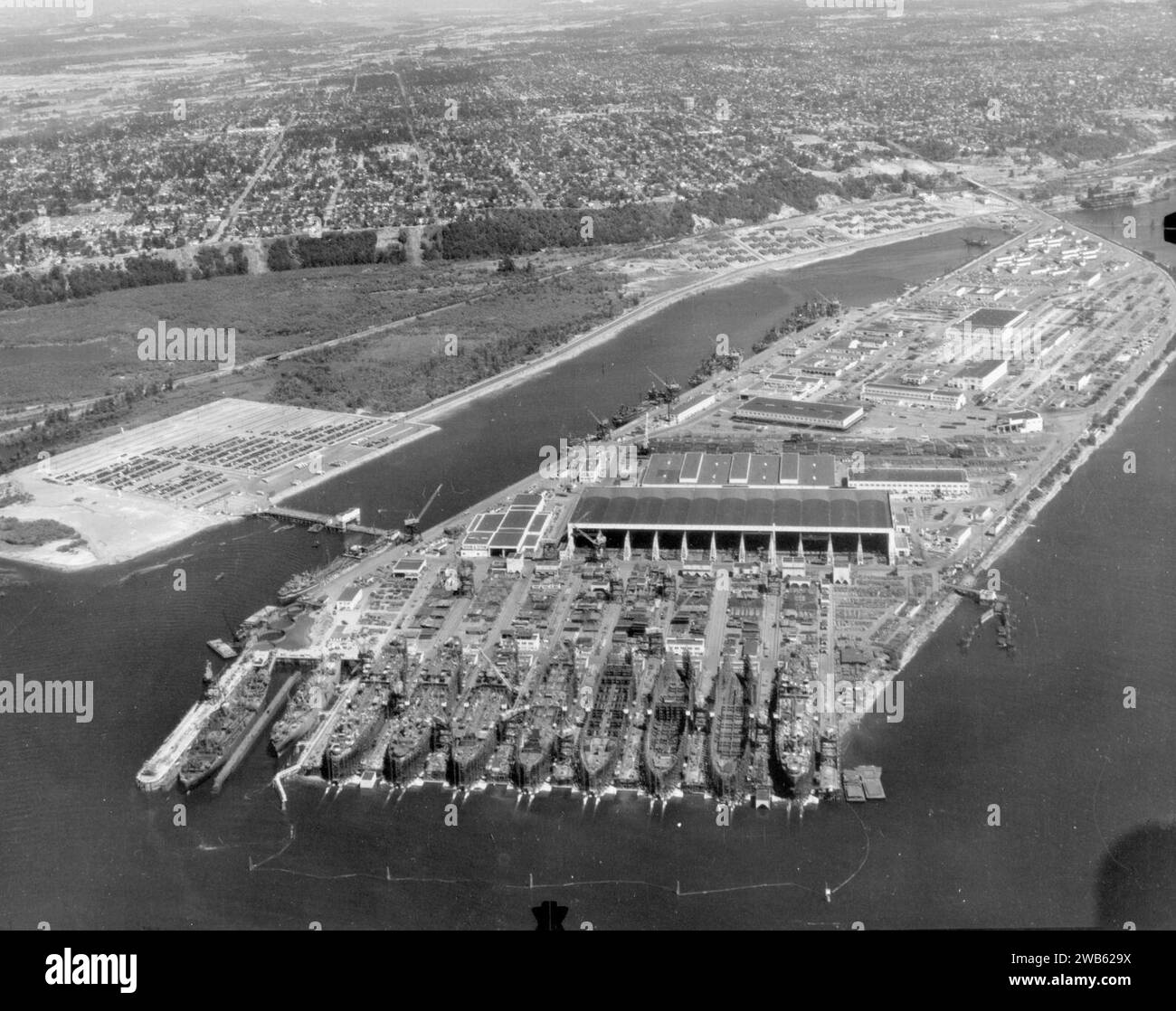 Swan no 1 Black and White Stock Photos & Images - Alamy