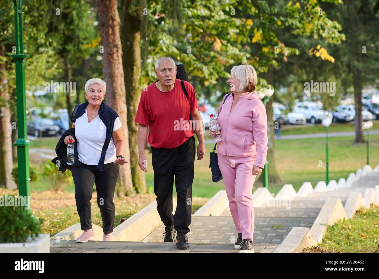 A group of senior friends takes a well-deserved break in nature ...