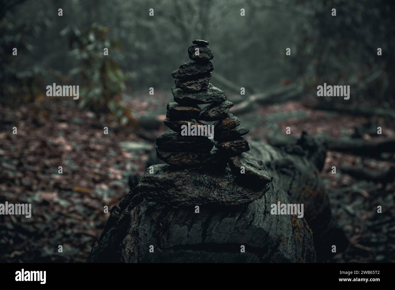 Foggy mountain forest rocks on hi-res stock photography and images - Alamy