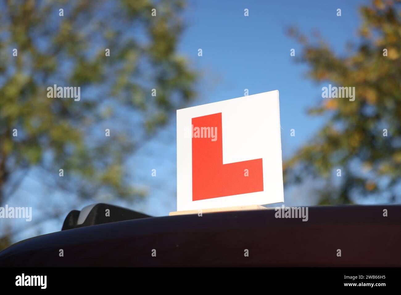 L-plate on car outdoors, low angle view with space for text. Driving ...